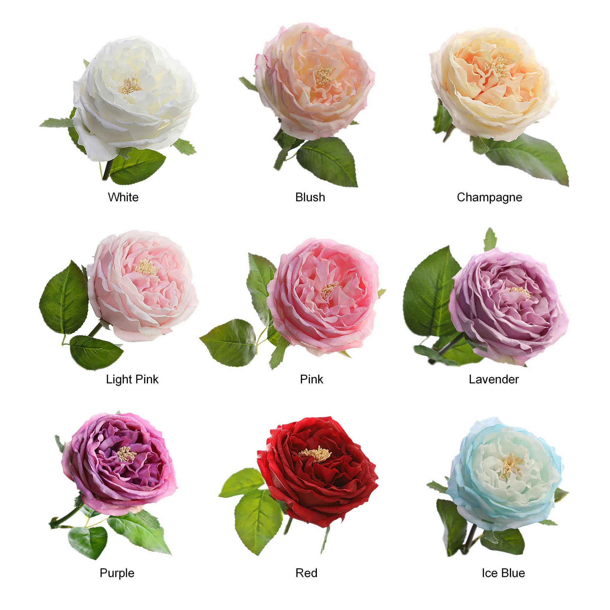 Austin Cabbage Roses Real Touch Flowers - VANRINA
