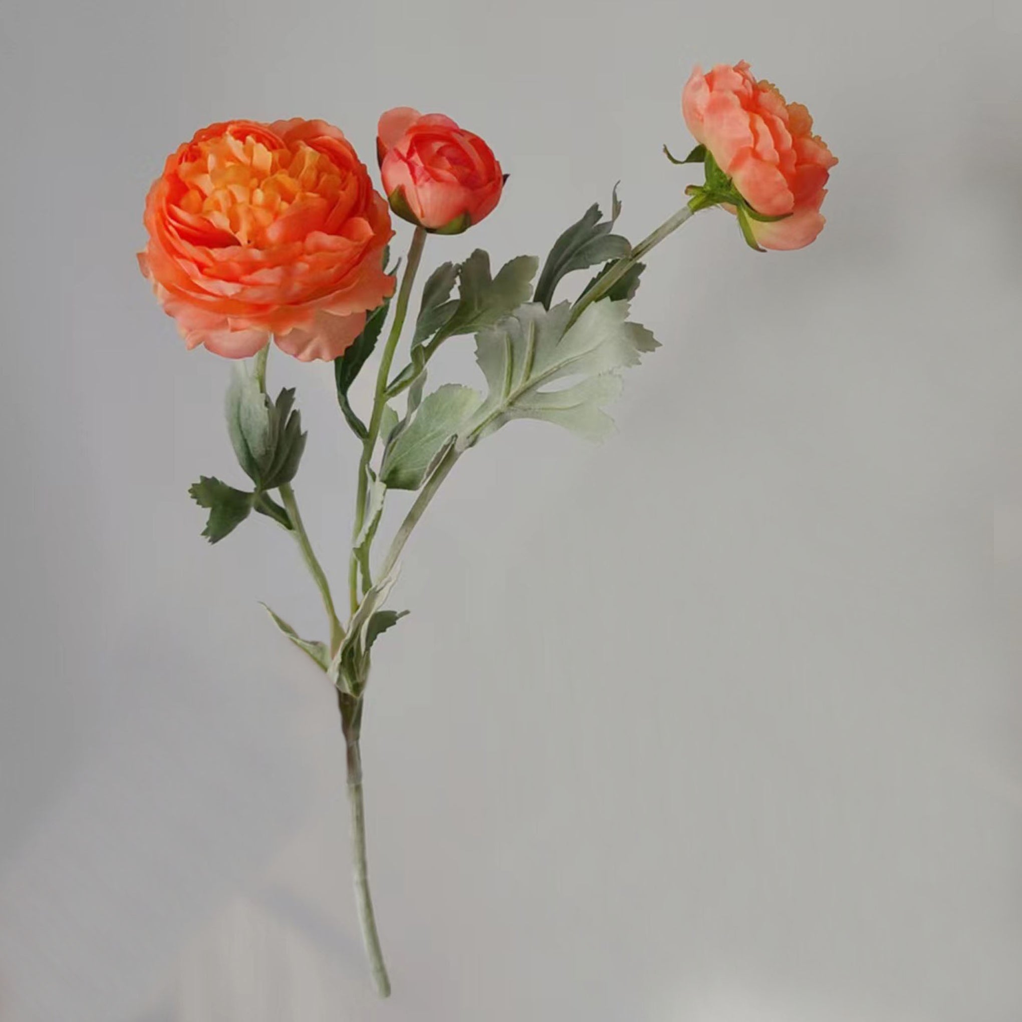 Artificial Ranunculus Flower Branch for Home Arrangement - VANRINA