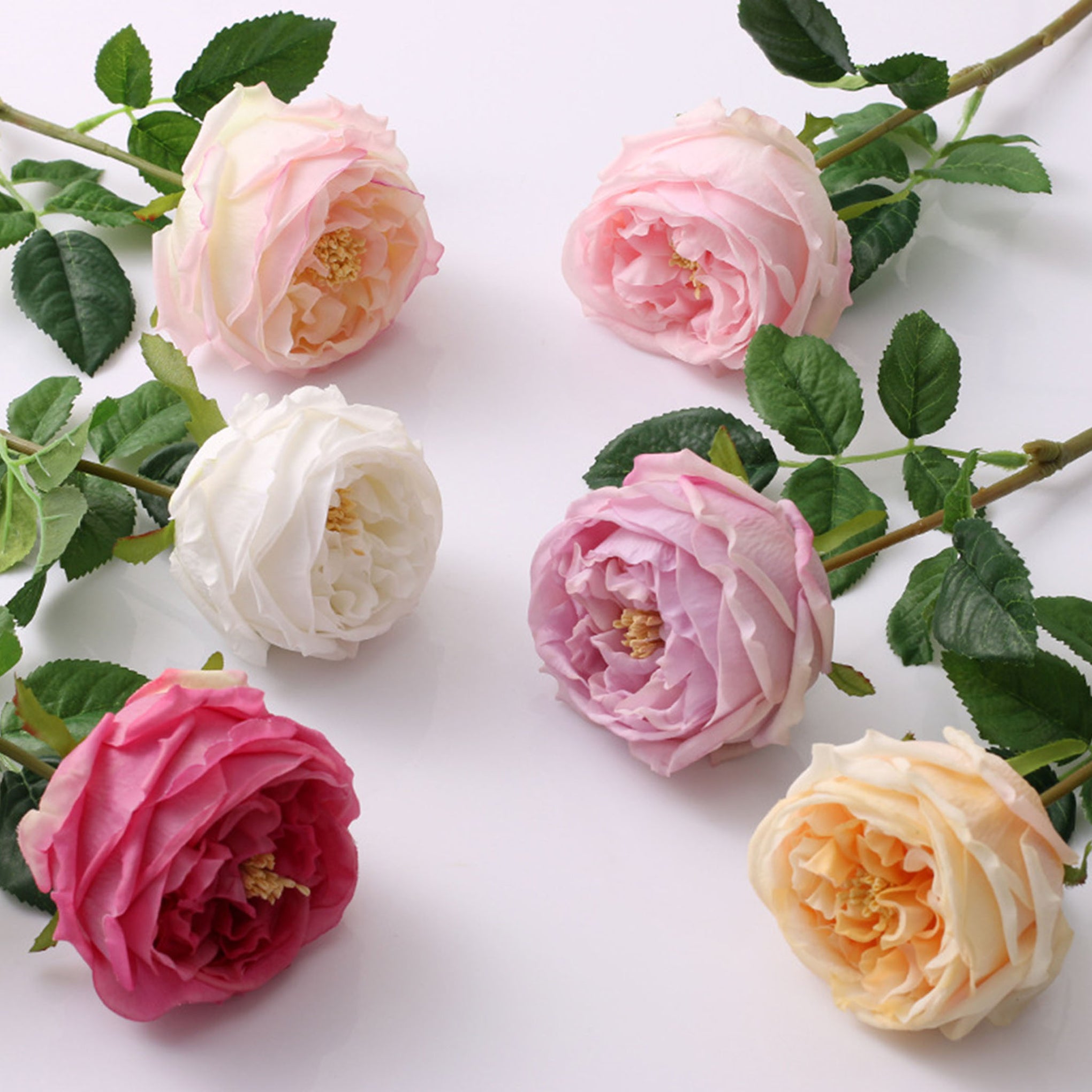 Austin Cabbage Roses Real Touch Flowers - VANRINA